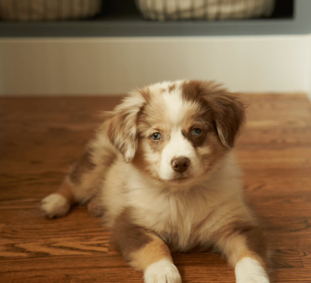 How GapOnly® works | GapOnly