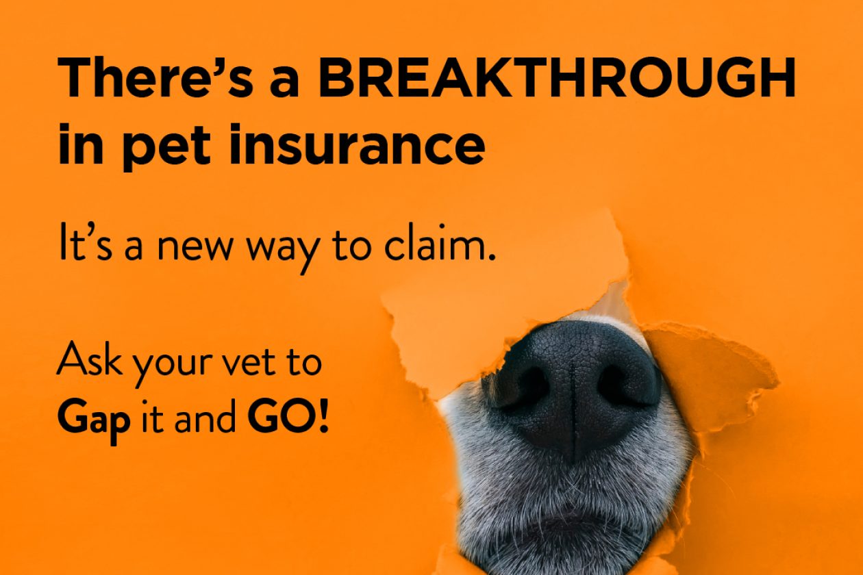 New GapOnly® awareness campaign | GapOnly